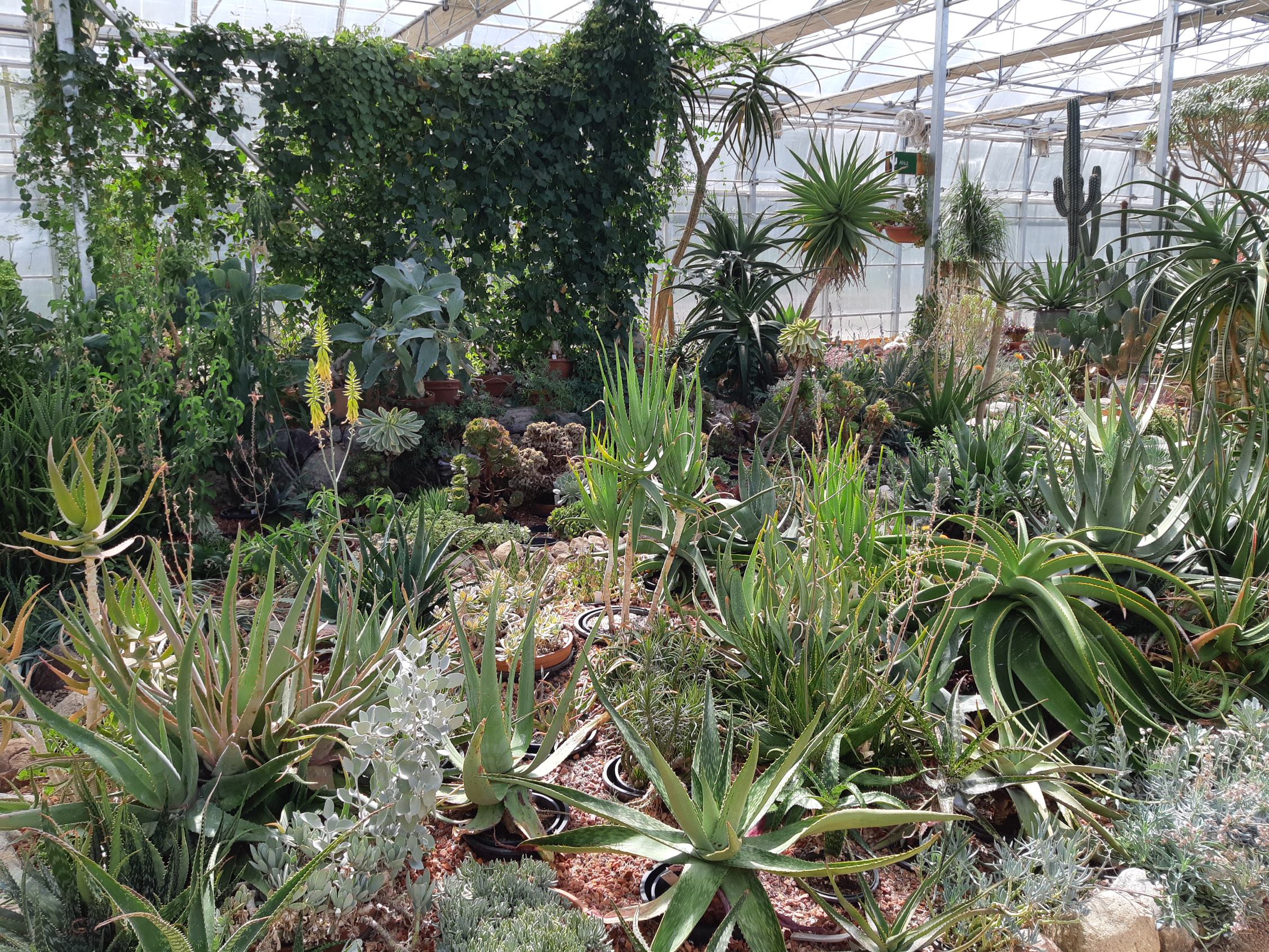 Plants & Peace - International Peace Garden